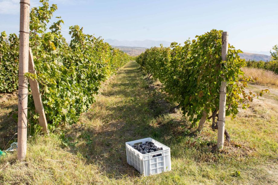 Le Domaine Hovaz - Kenats